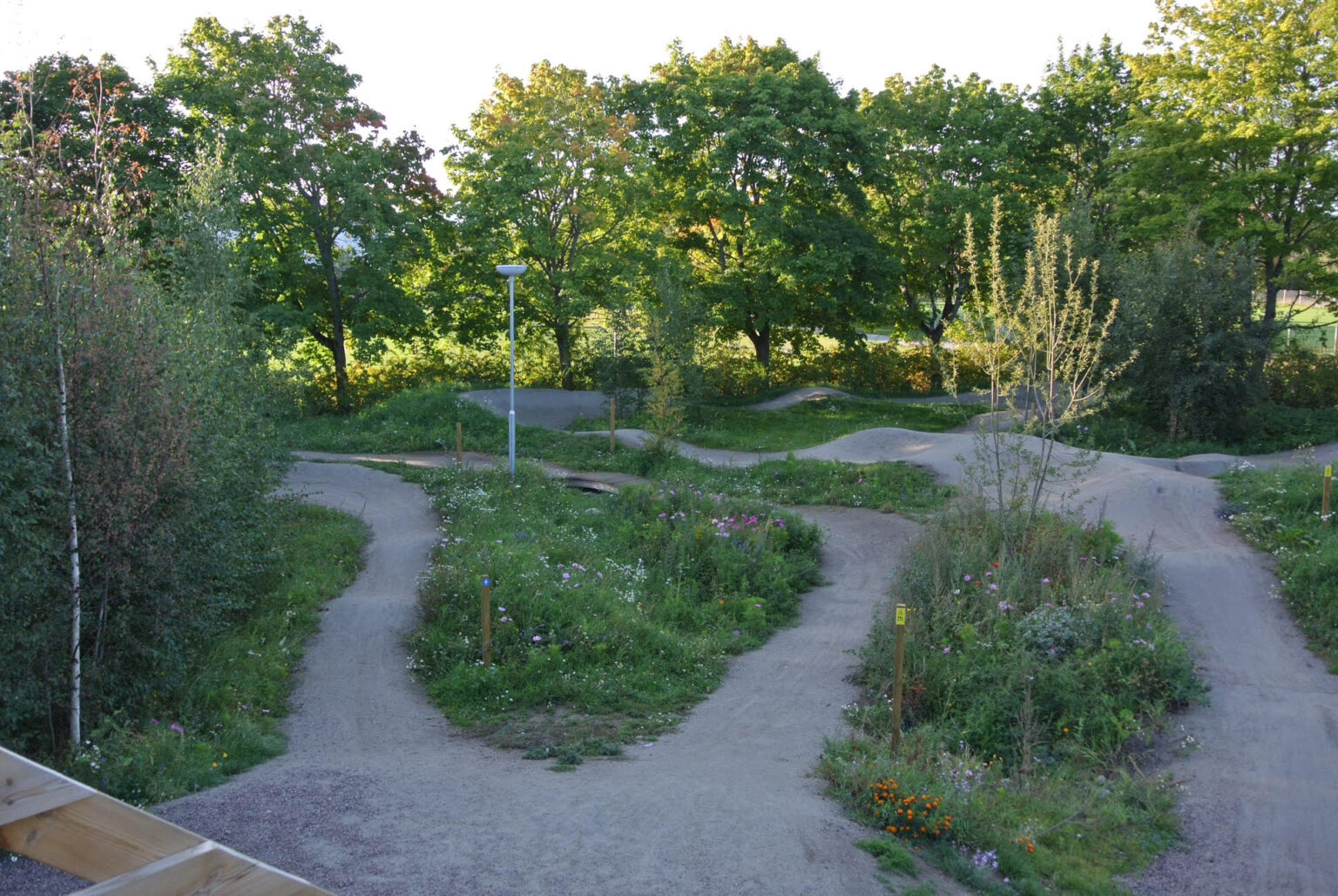 From Neuroscience to Design: Creating Spaces that Nurture Childhood ...