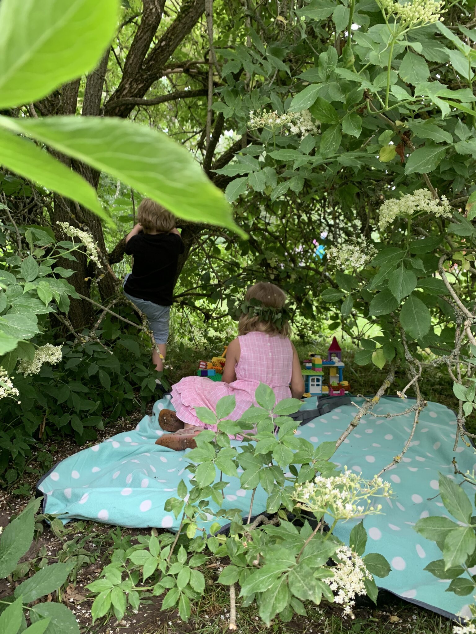 From Neuroscience to Design: Creating Spaces that Nurture Childhood ...